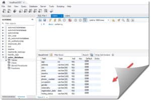 How to Create Table in MySQL - DatabaseFAQs.com